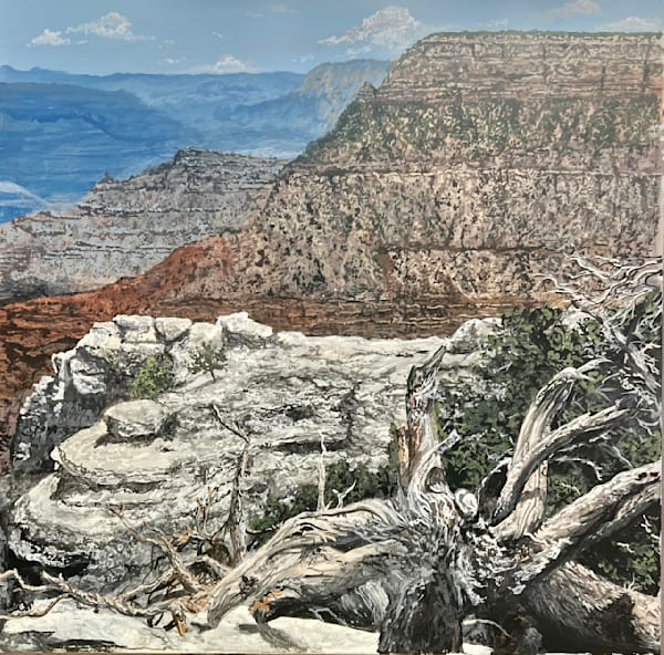 Shop Art | Kerry Adcock artist