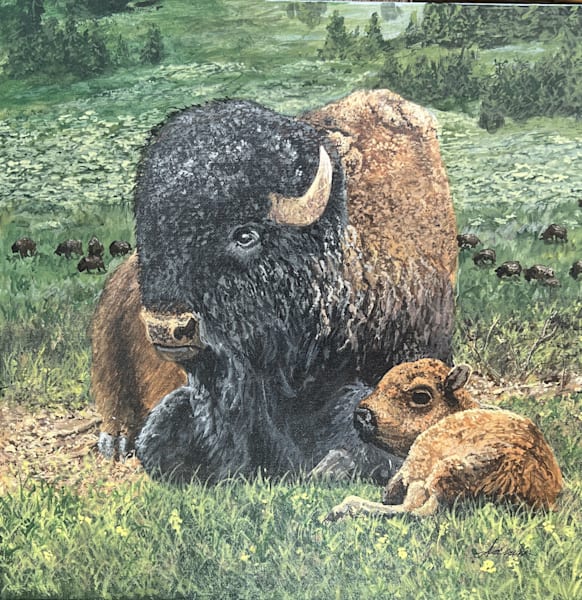 Shop Art | Kerry Adcock artist