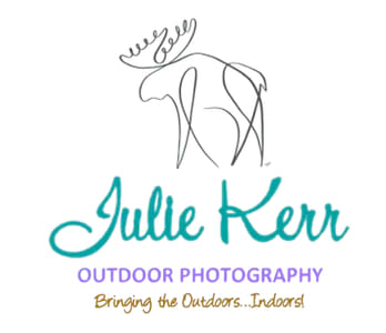Best sellers Photography Art | Julie Kerr Outdoor Photography