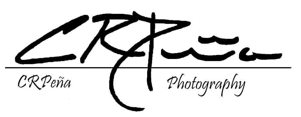 Coral Pink Sand Dunes State Park Photography Art | Charlie Pena