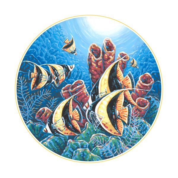 Shop Art | Tom Stuck