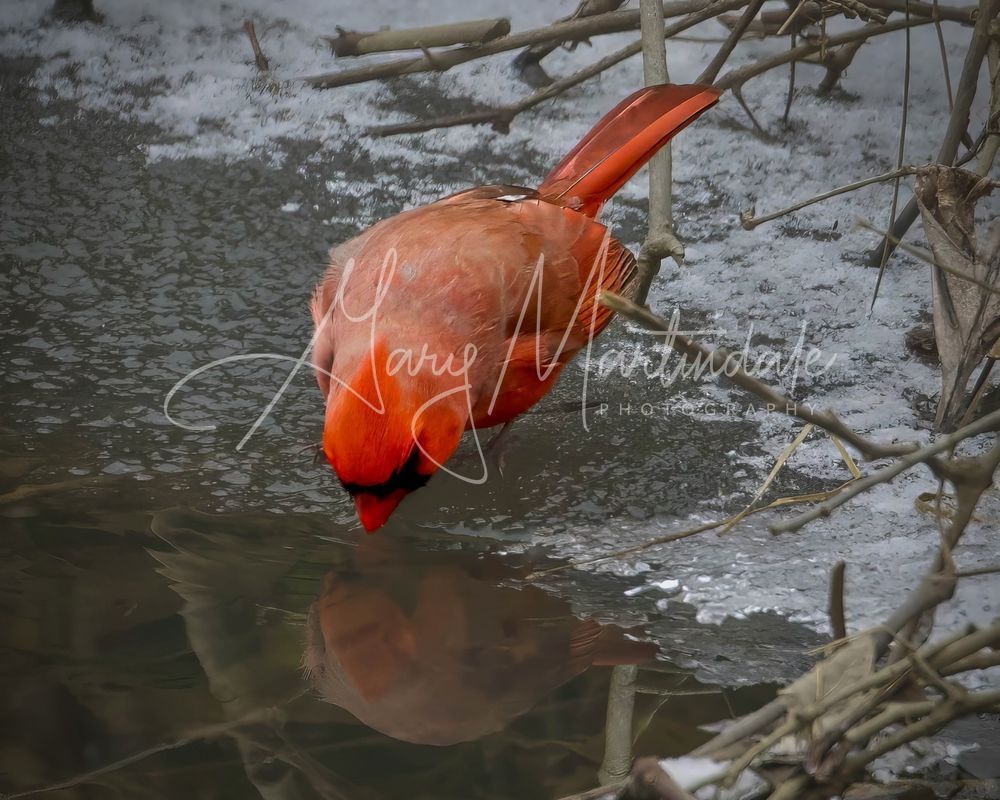 A Sign Of Hope Photography Art | Gary Martindale Photography, LLC